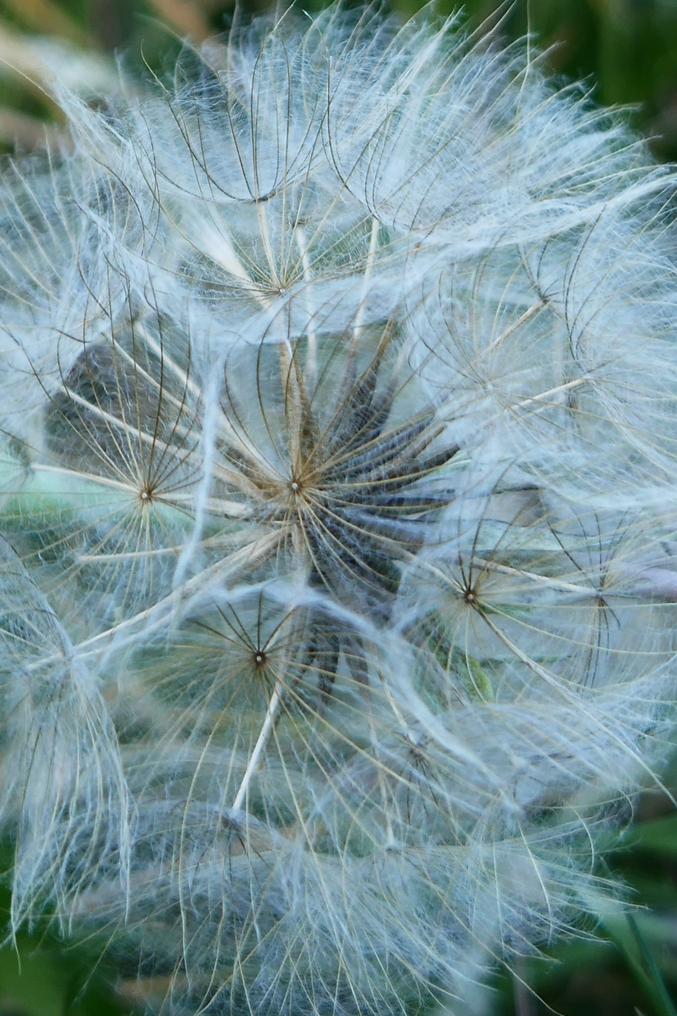 Anstiftung zur Freude #23 – Eva Scheller