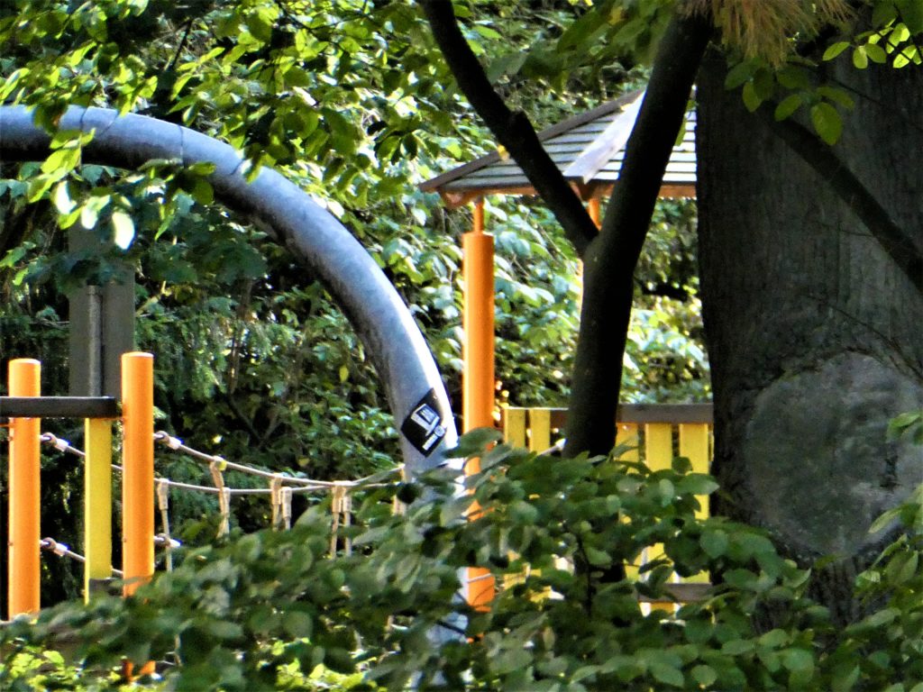 Die Erde beschenken – Eva Scheller