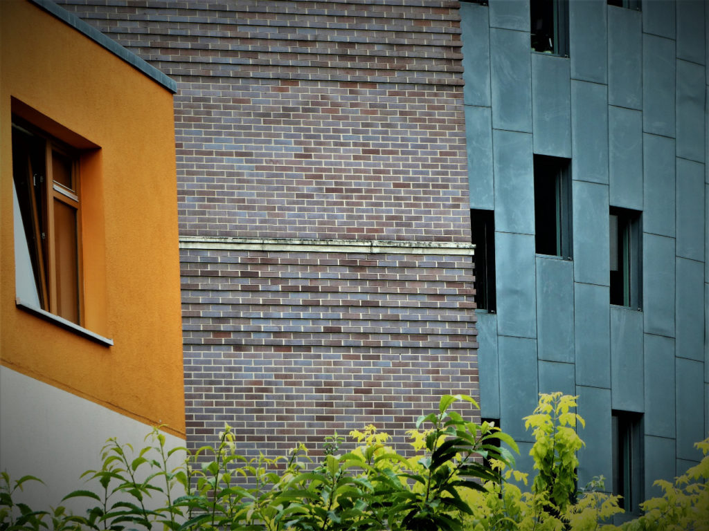 Anstiftung zur Freude #75 – Eva Scheller